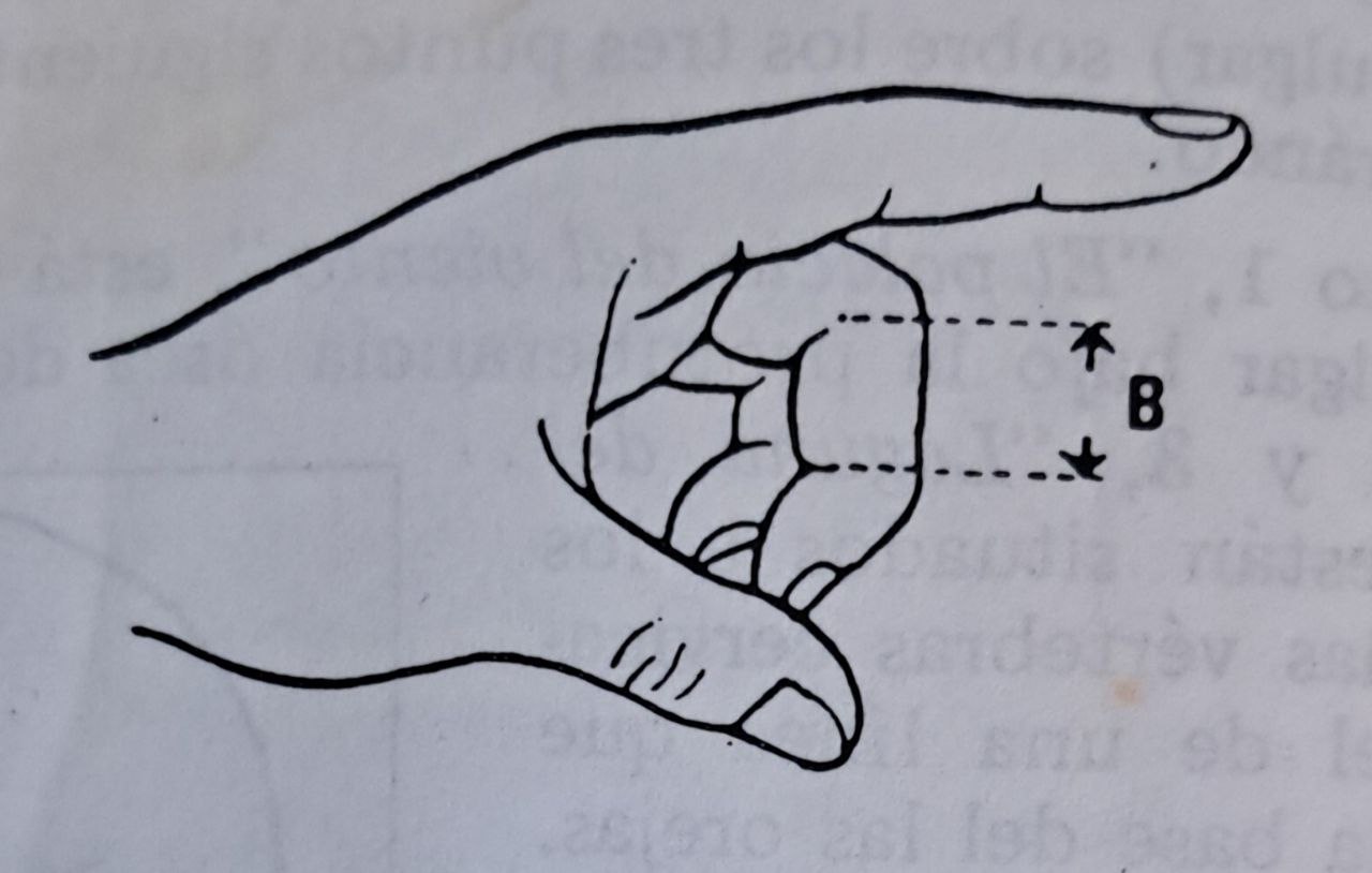 What Is A Cun? | The Full And Easy Guide To Measuring In TCM + Visual ...