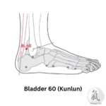 7 Effective Field-Tested Acupuncture Points For Sciatica