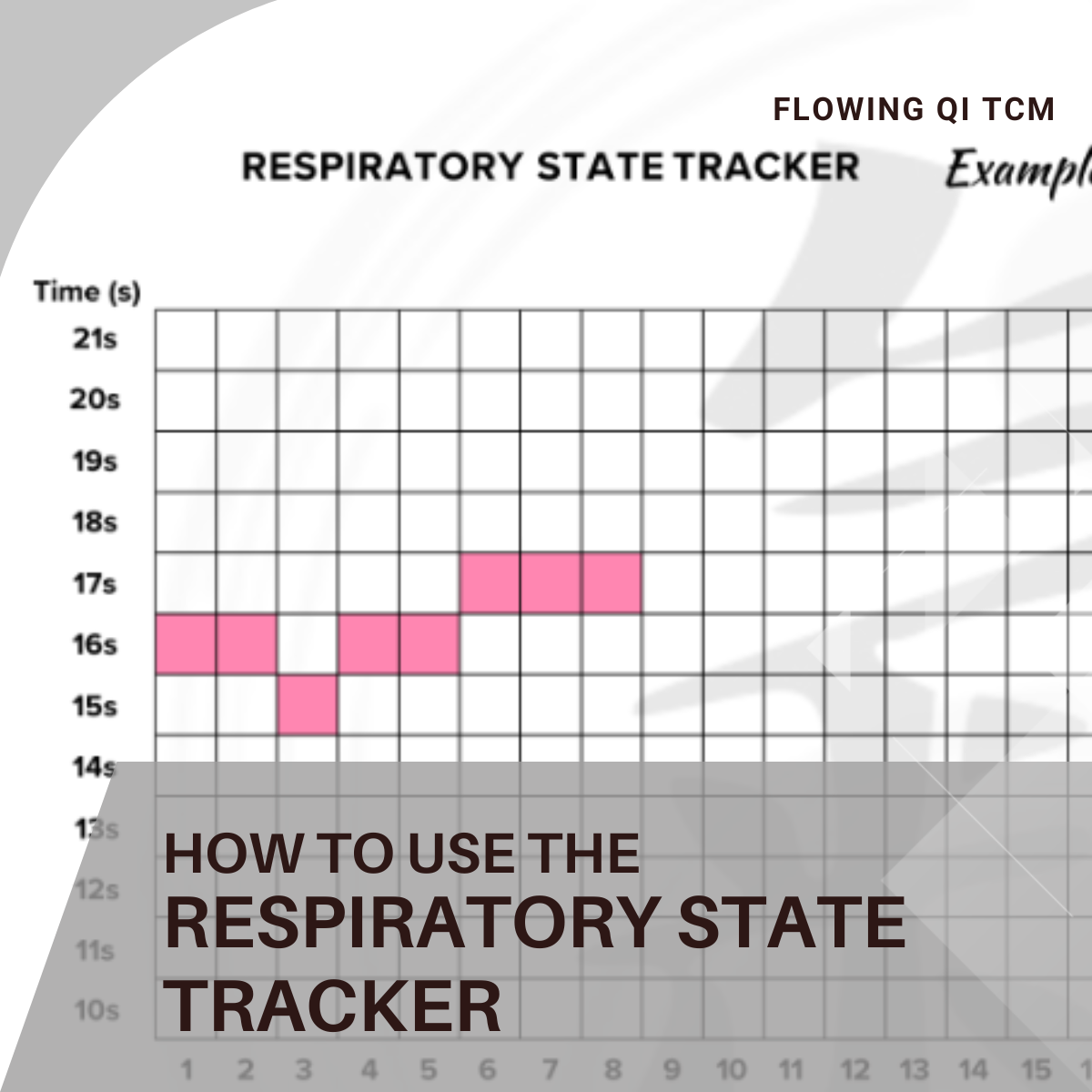 How To Use The Asthma Respiratory State Tracker: Tutorial Guide